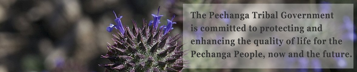 Original Pechanga Blog: TRIBAL DISENROLLMENT CREATES A 21st Century ...