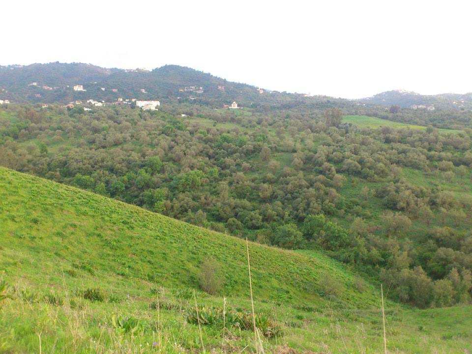 Die Kabylei: Die Impressionen