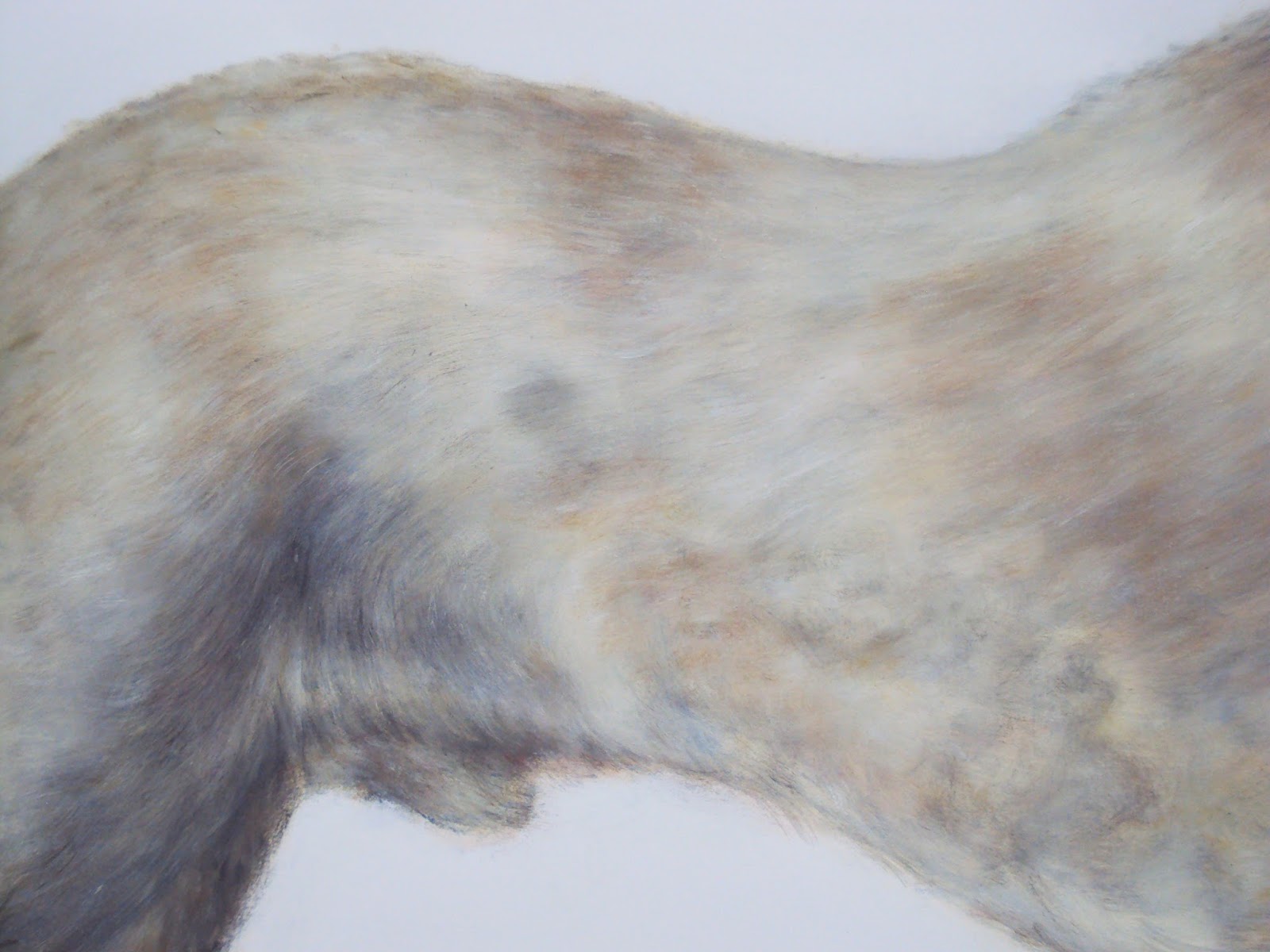 Ann-Marie Tully: Brak I