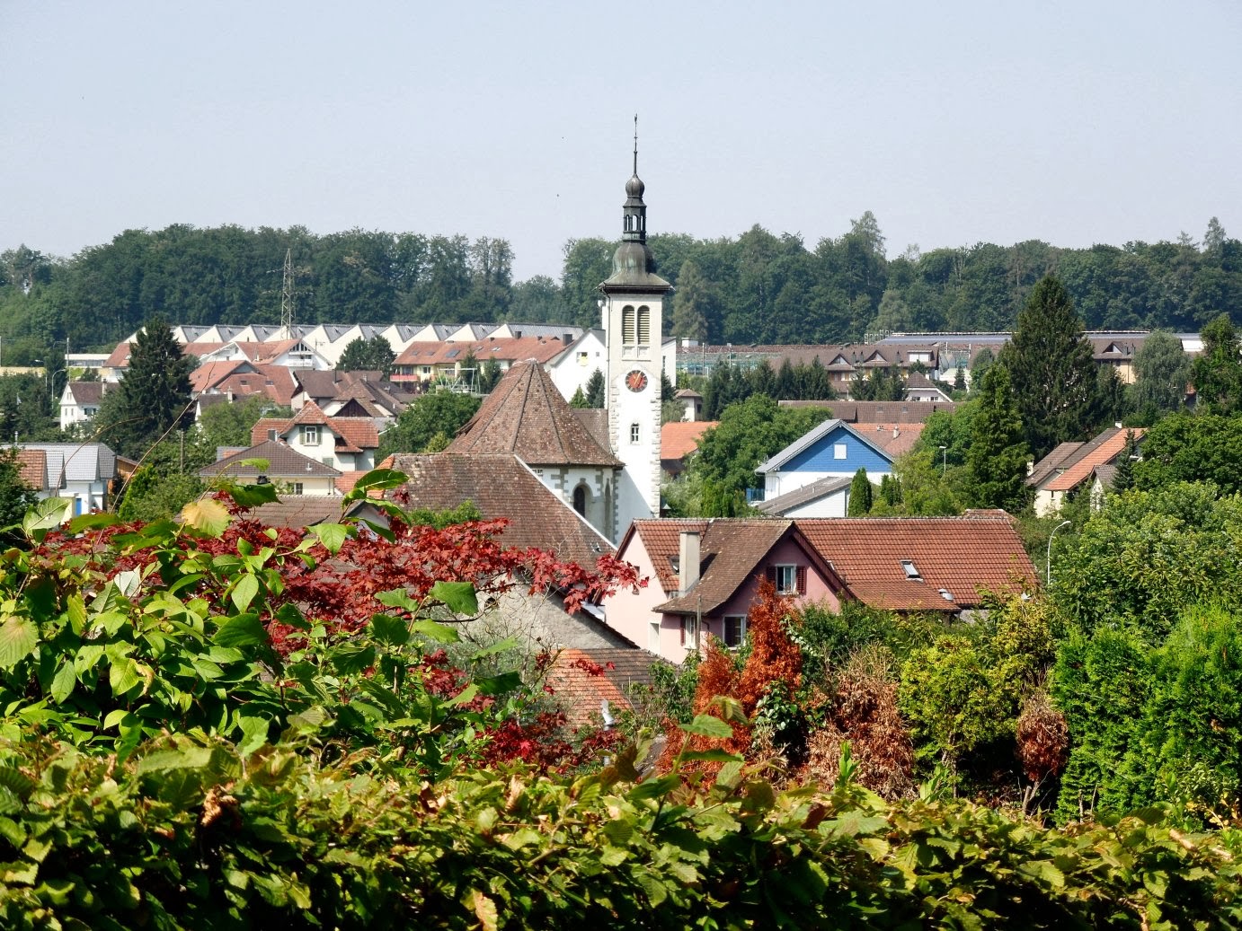 A Retired Teacher in Mexico City: Summer of 2012 - Othmarsingen ...