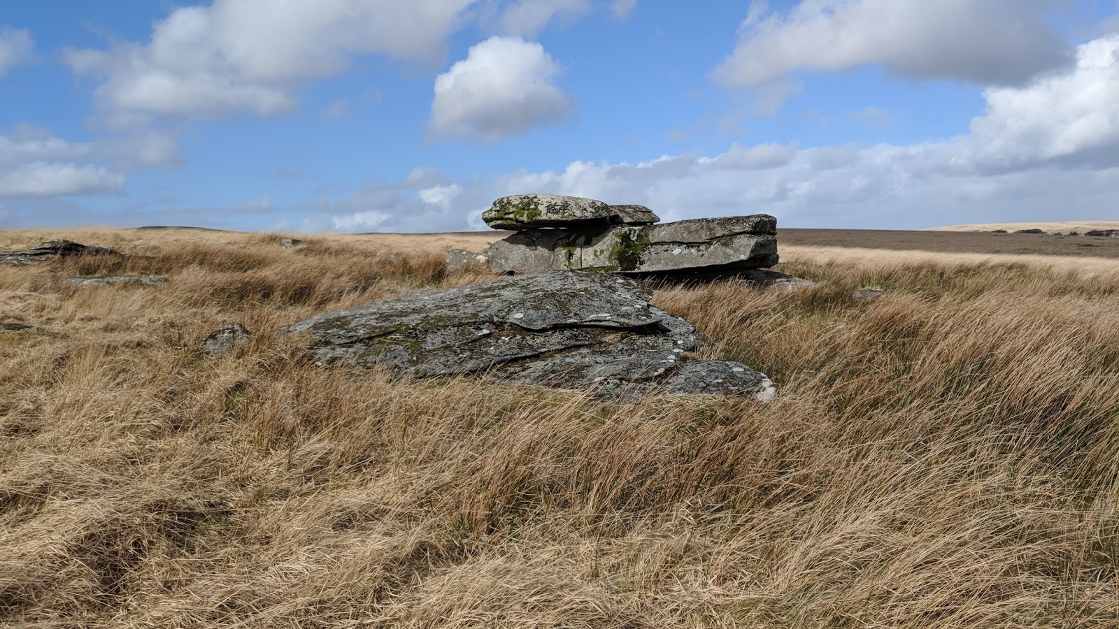 Max Piper - Tor Bagger: Dartmoor: Bagging Arch Tor