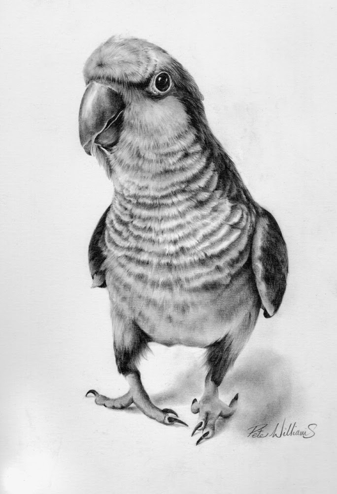 Design Stack: A Blog about Art, Design and Architecture: Hyper ...