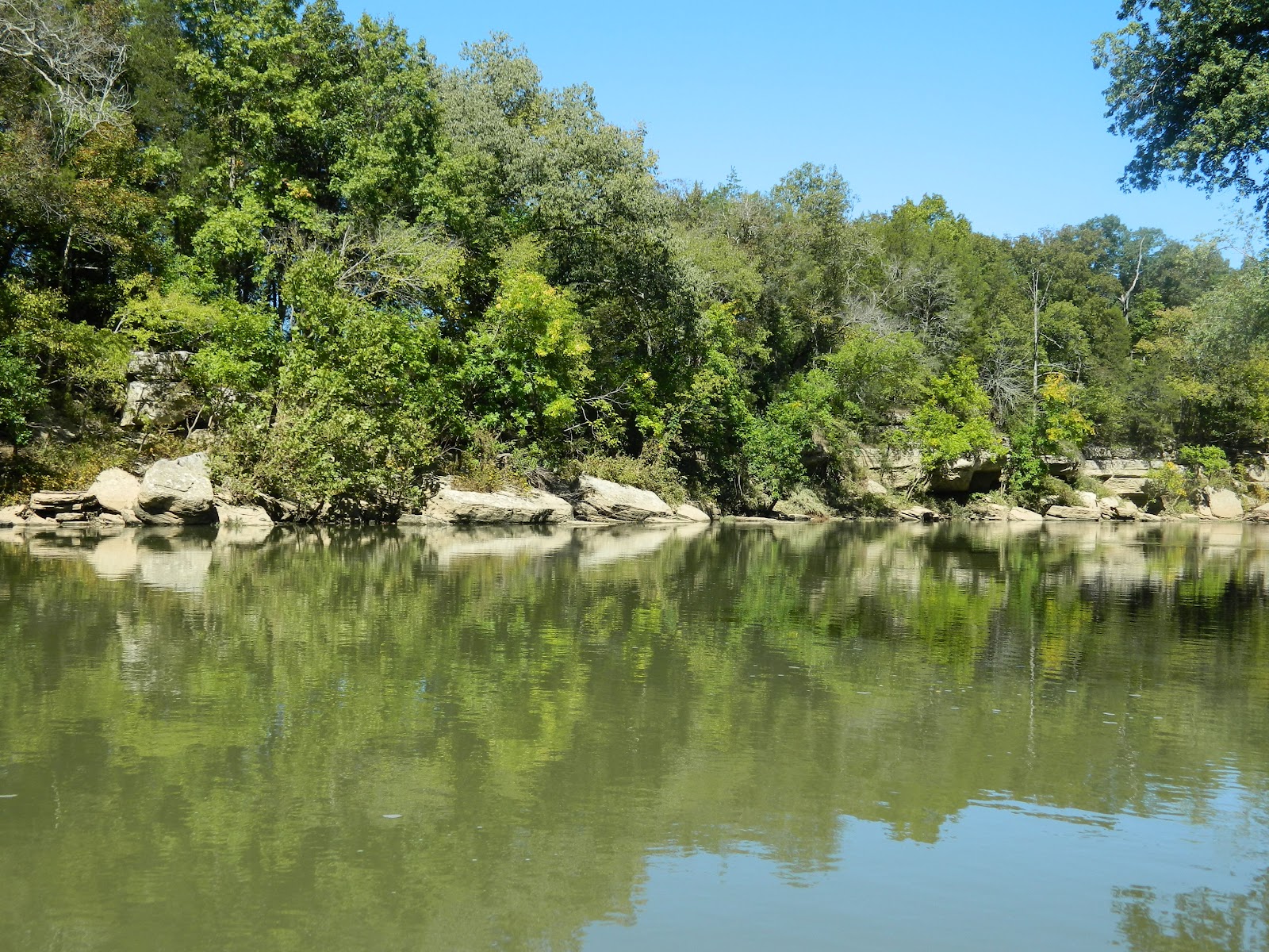 Paddle Tennessee: Duck River: Milltown Rd. to Hardsion Mill