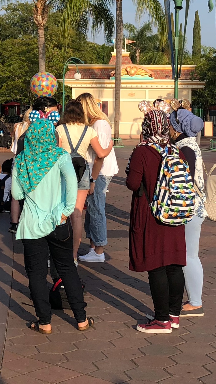 Insights and Sounds: Theme Park Commando: Disneyland Resort in One Day ...