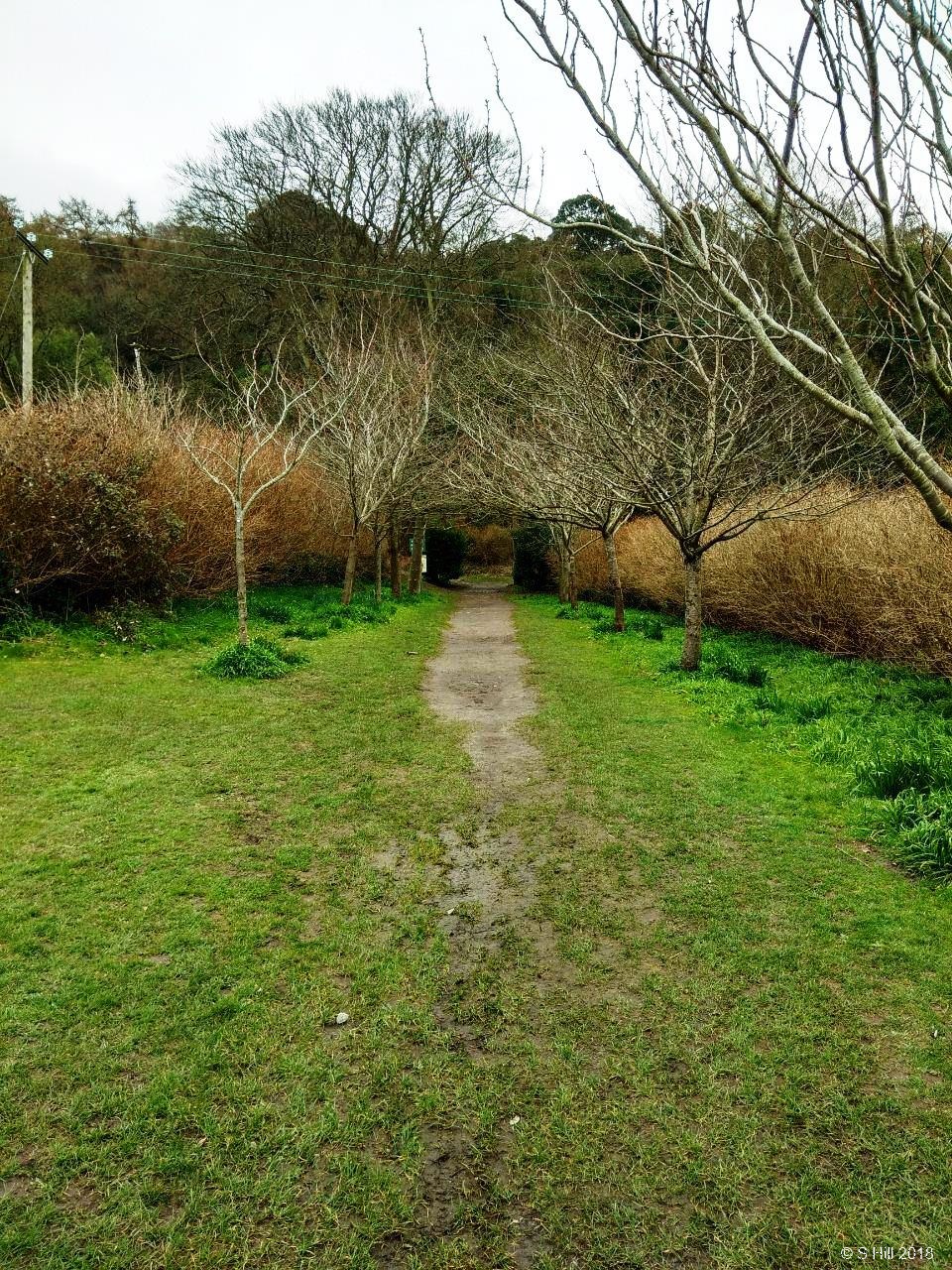 Ireland In Ruins: Aideen's Grave Co Dublin