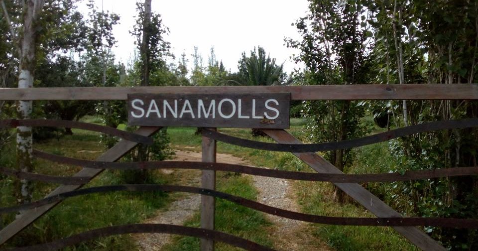 SANAMOLLS : BENVINGUTS A SANAMOLLS!