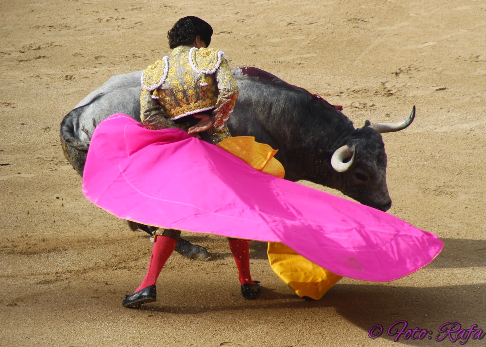 Asociación Toreo en Red Hondo: LAS VERDADES DEL TOREO DE VERDAD (2)