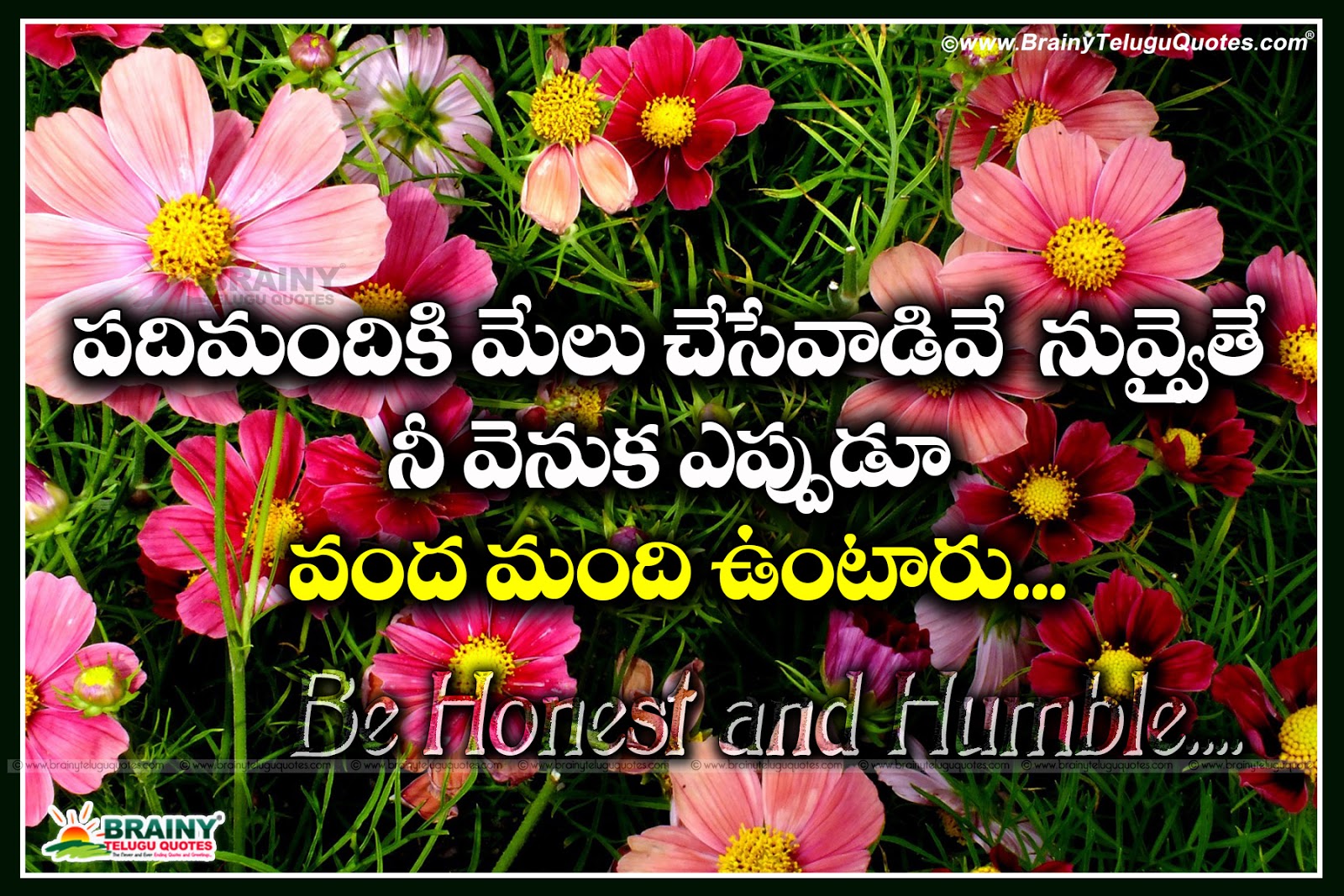 Best Telugu manchi matalu quotations Suktulu messages with flowers ...