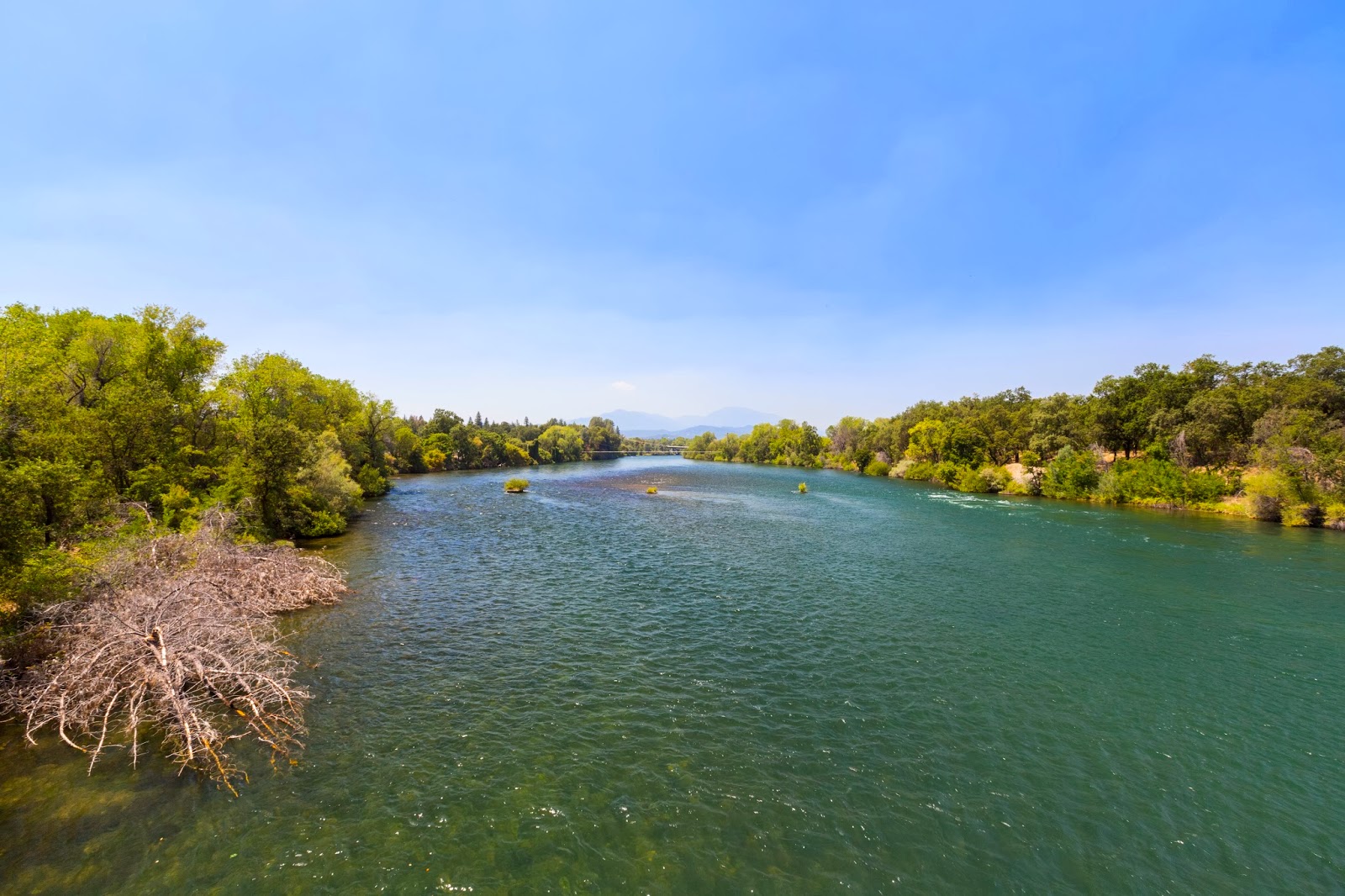 Naturetastic Blog: Sundial Bridge - Turtle Bay (Redding, CA)