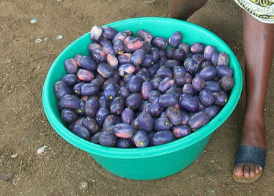 Bilhete de Identidade da Fruta: Fruto - Safu