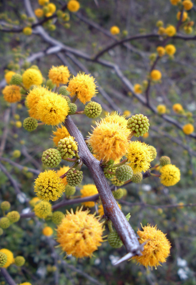 CraftyHope: Macro Sunday: Fort Pickens