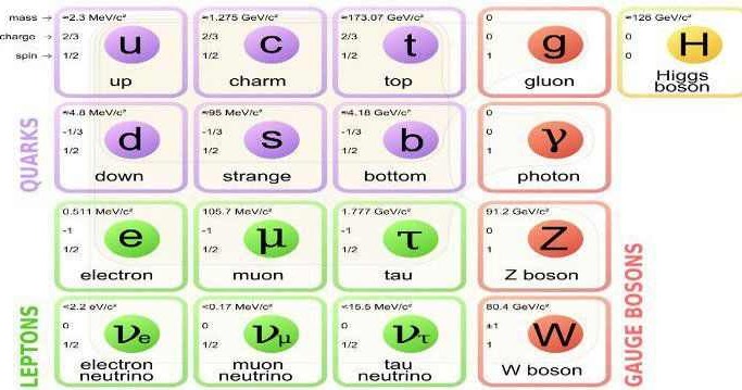 Matter and Forces of Nature at Quantum level