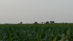 The Midnight Freemasons: Corn – An Emblem of Nourishment