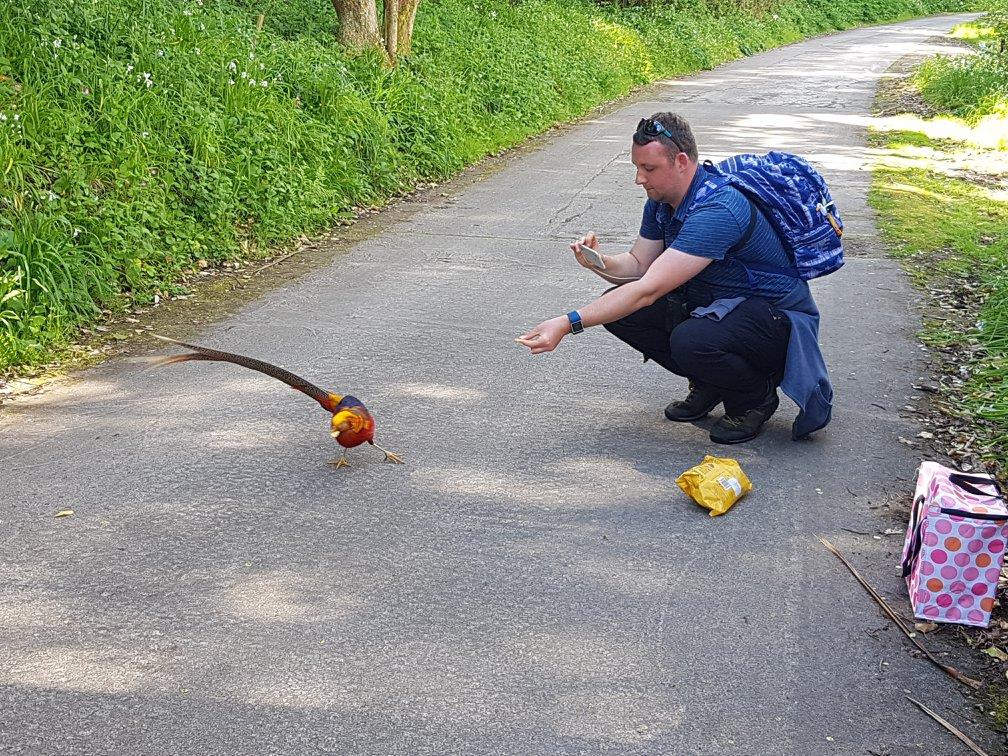 We Bird North Wales: Return of The Bruce! RSPB Investigation in Bangor ...