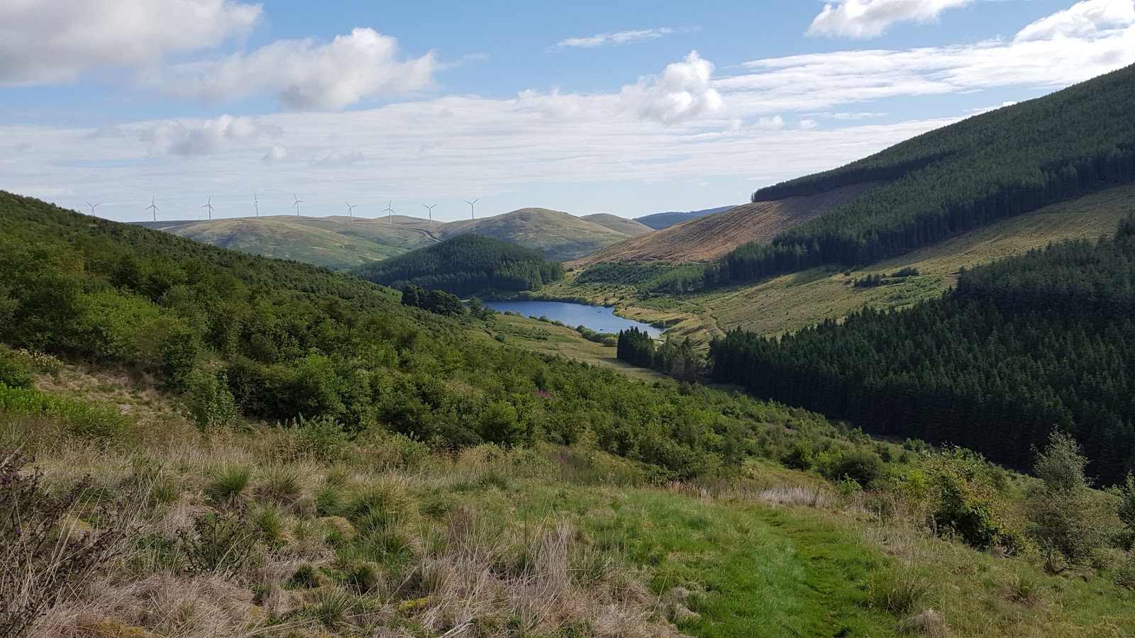 Neil's Hillwalking Exploits: Ben Shee (Ochils)