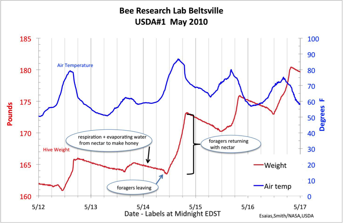 @mato74's visuals & notes: Digital beehive monitoring