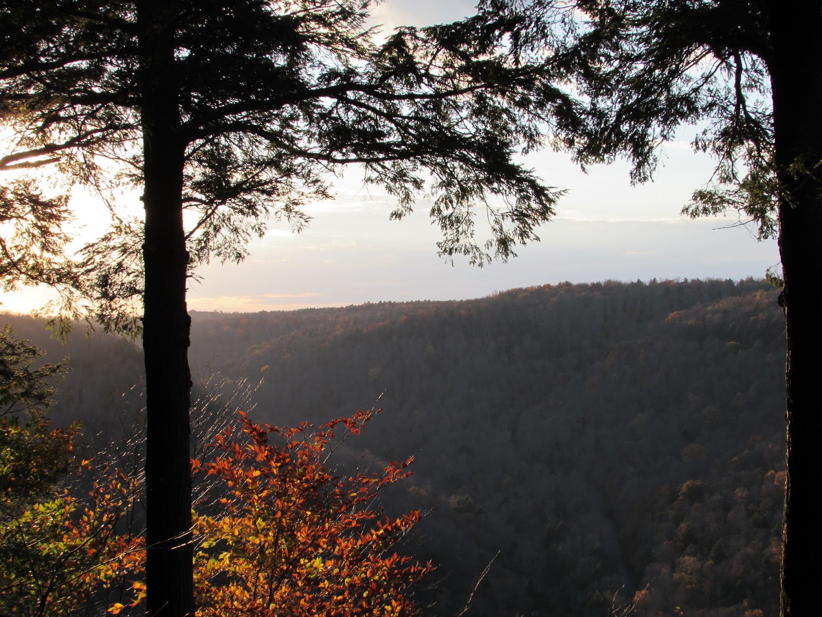 Loyalsock Canyon Vista, Worlds End State Park, Sullivan County, PA ...