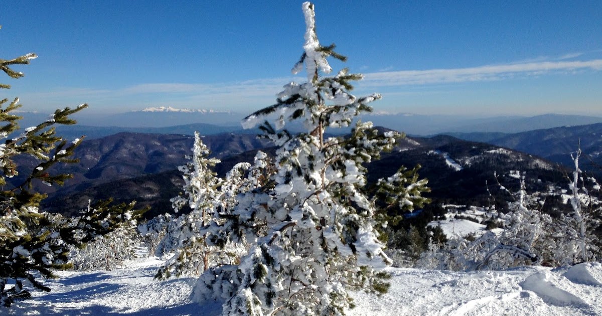 Ски писта, фън парк и страхотни гори в Осоговската планина