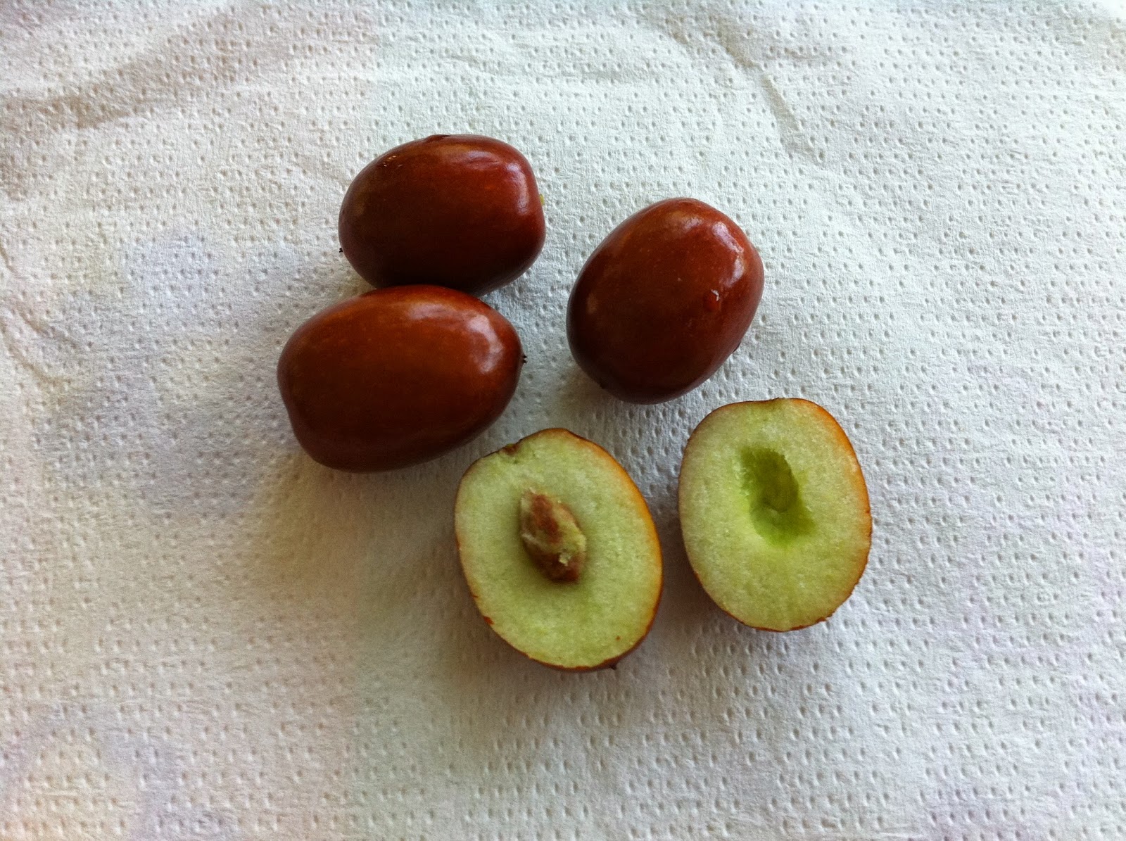 HOLIDAYS AROUND ALICANTE AND ELCHE BLOG: JUJUBE (Jinjol): AN ASIAN ...