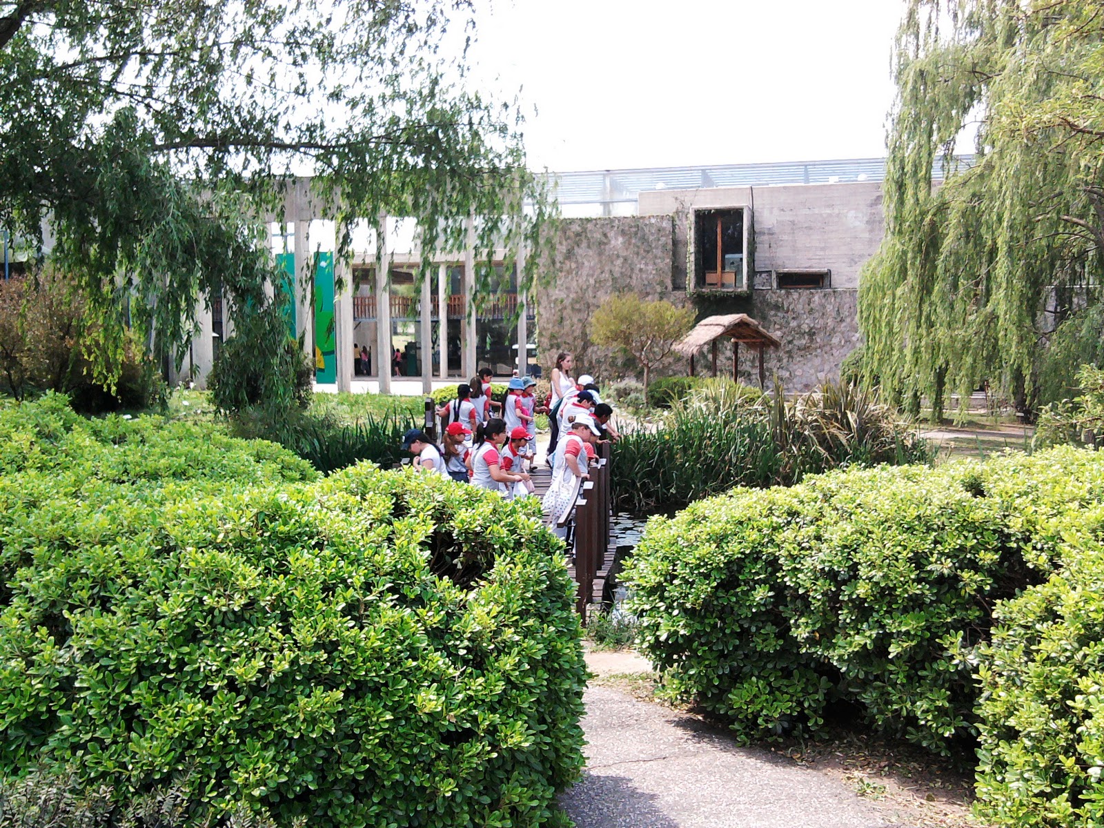 escuela rizzuto: Algunas fotos de lo que hicimos en el 2.011