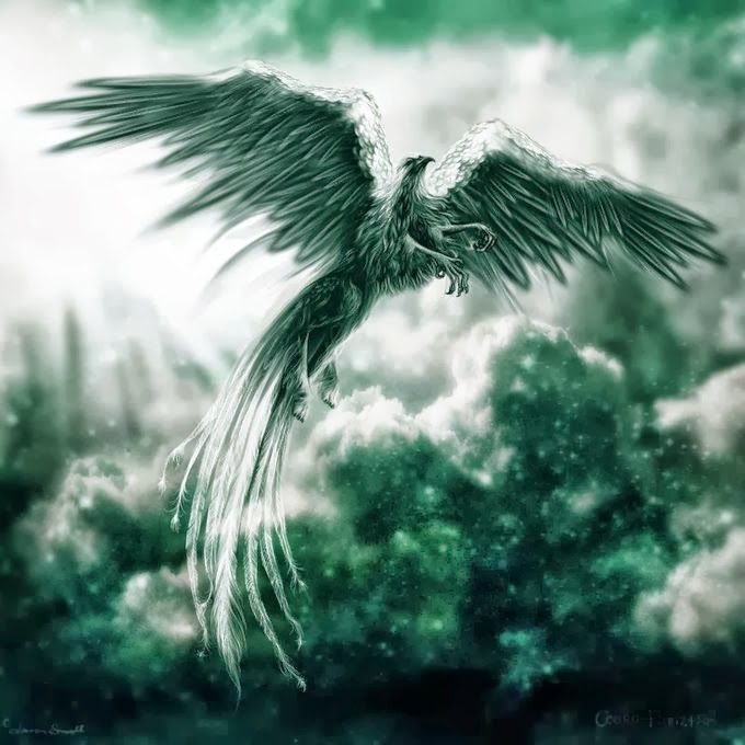 DragonsFaeriesElves&theUnseen : The Griffin-