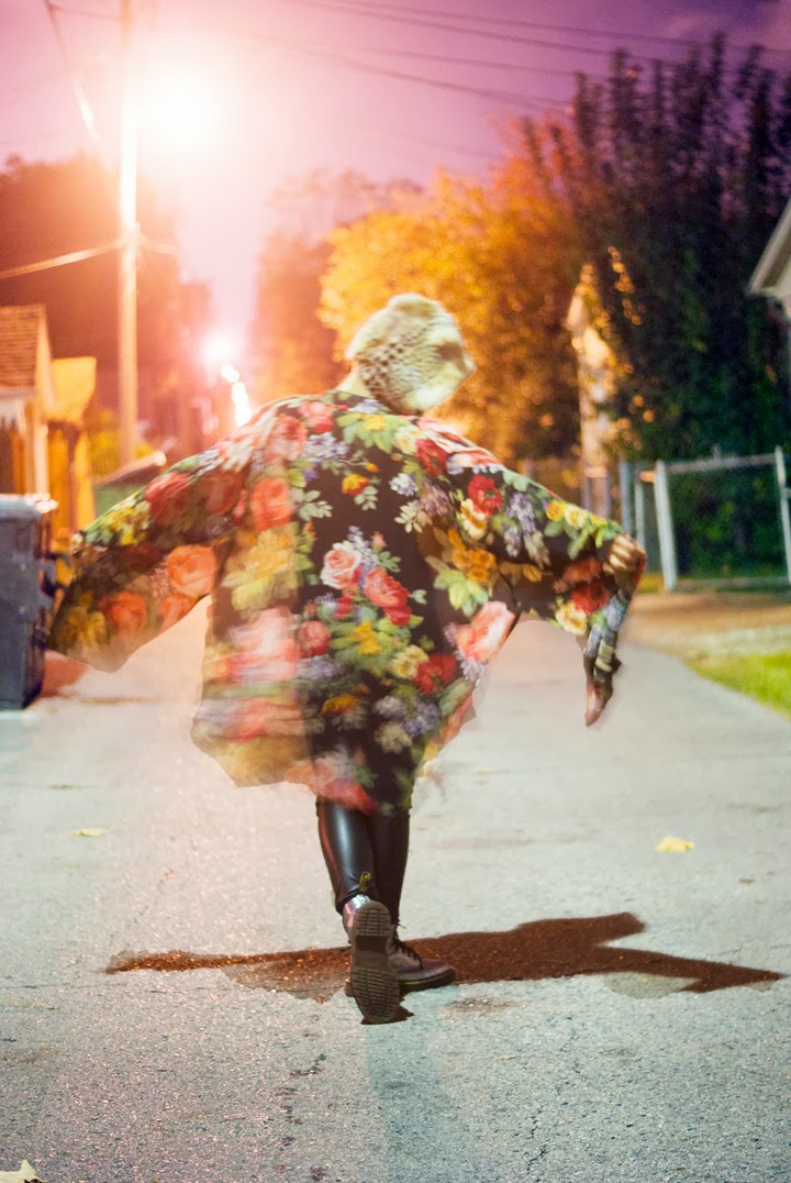 fox and gypsy: night crawler