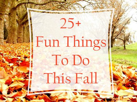 25+ Fun Things To Do This Fall - Home Crafts by Ali