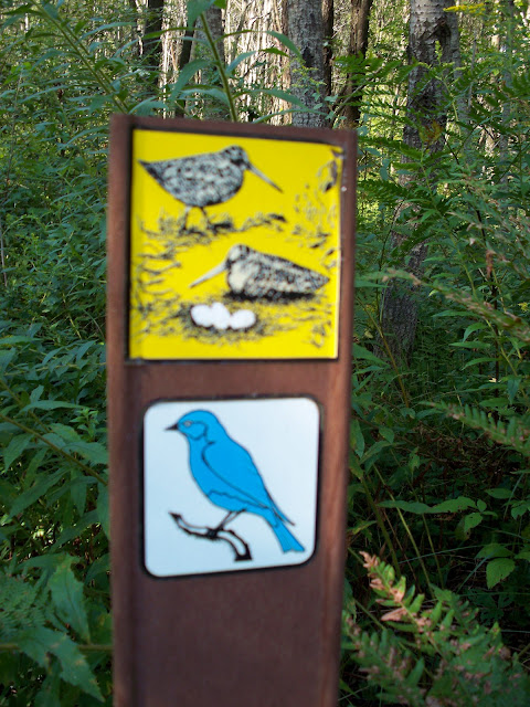 organic aspirations: A Tour of Timberdoodle