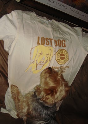 My Journey Through The LOST Encyclopedia: Vincent