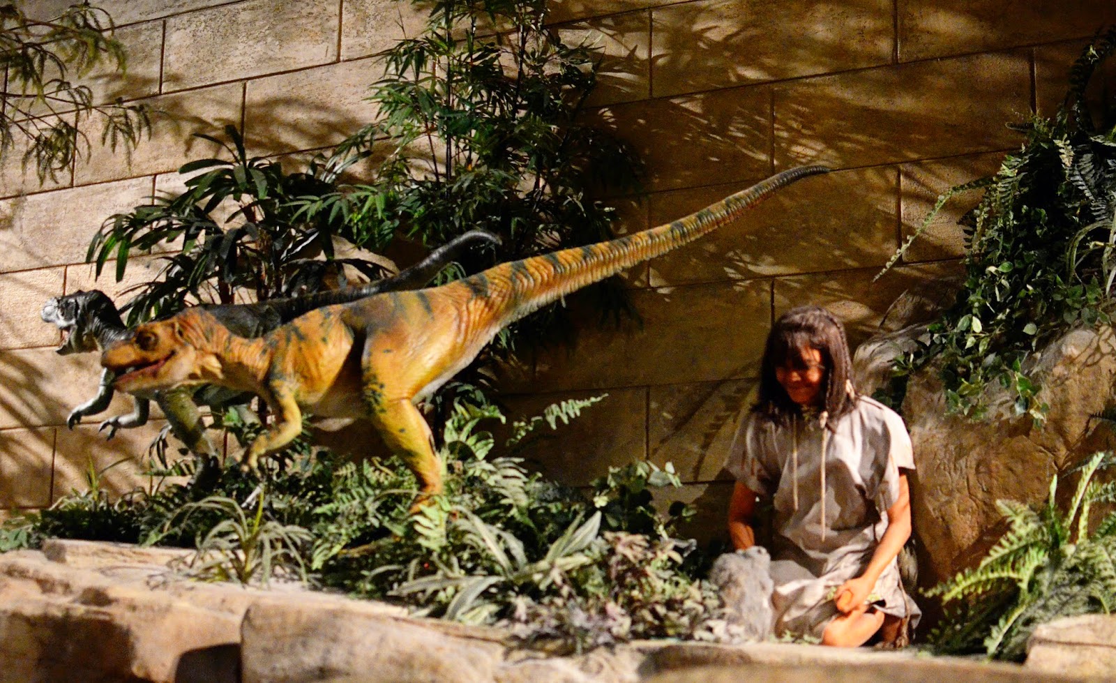 Adventures in Japan!: The Creation Museum and Diners, Drive-ins, and Dives!