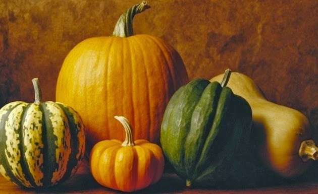 EL ZAPALLO BUENO PARA LA SALUD : FRUTAS VERDURAS BENEFICIOS PROPIEDADES ...