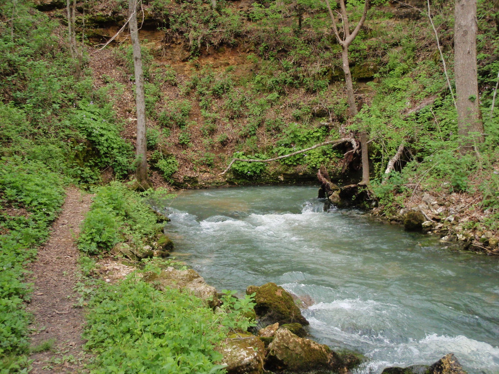 Rainwater's Creekside Ramblings: The connection between limestone and trout