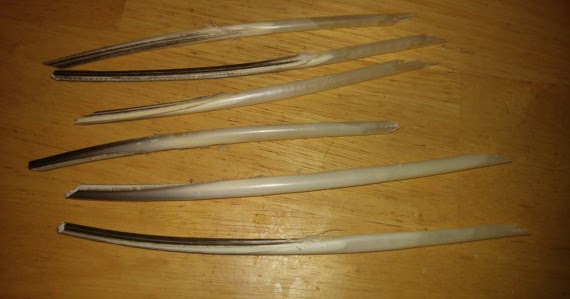 Improved Initiative: Authentic, Handmade Calligraphy Tools From Green ...