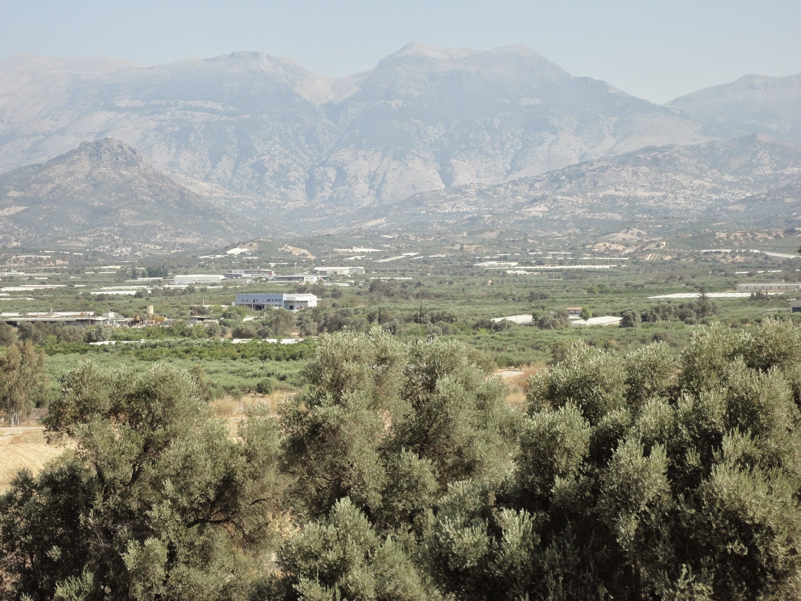 Έξοδος κινδύνου: ΜΙΑ ΠΕΔΙΑΔΑ ΣΕ ΣΥΓΧΥΣΗ