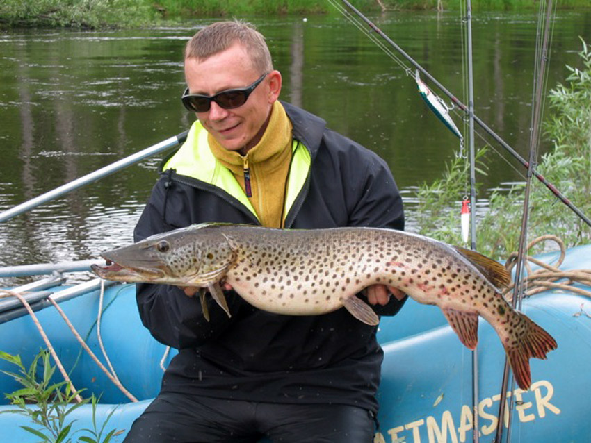 Chavanga Fish Blog: Khabarovsk Taimen fishing tour