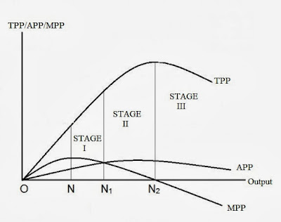 ECN60104/BUS1404 Microeconomics Individual Assignment