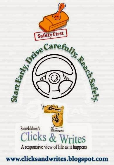 Ramesh Menon's Clicks and Writes: January 2014