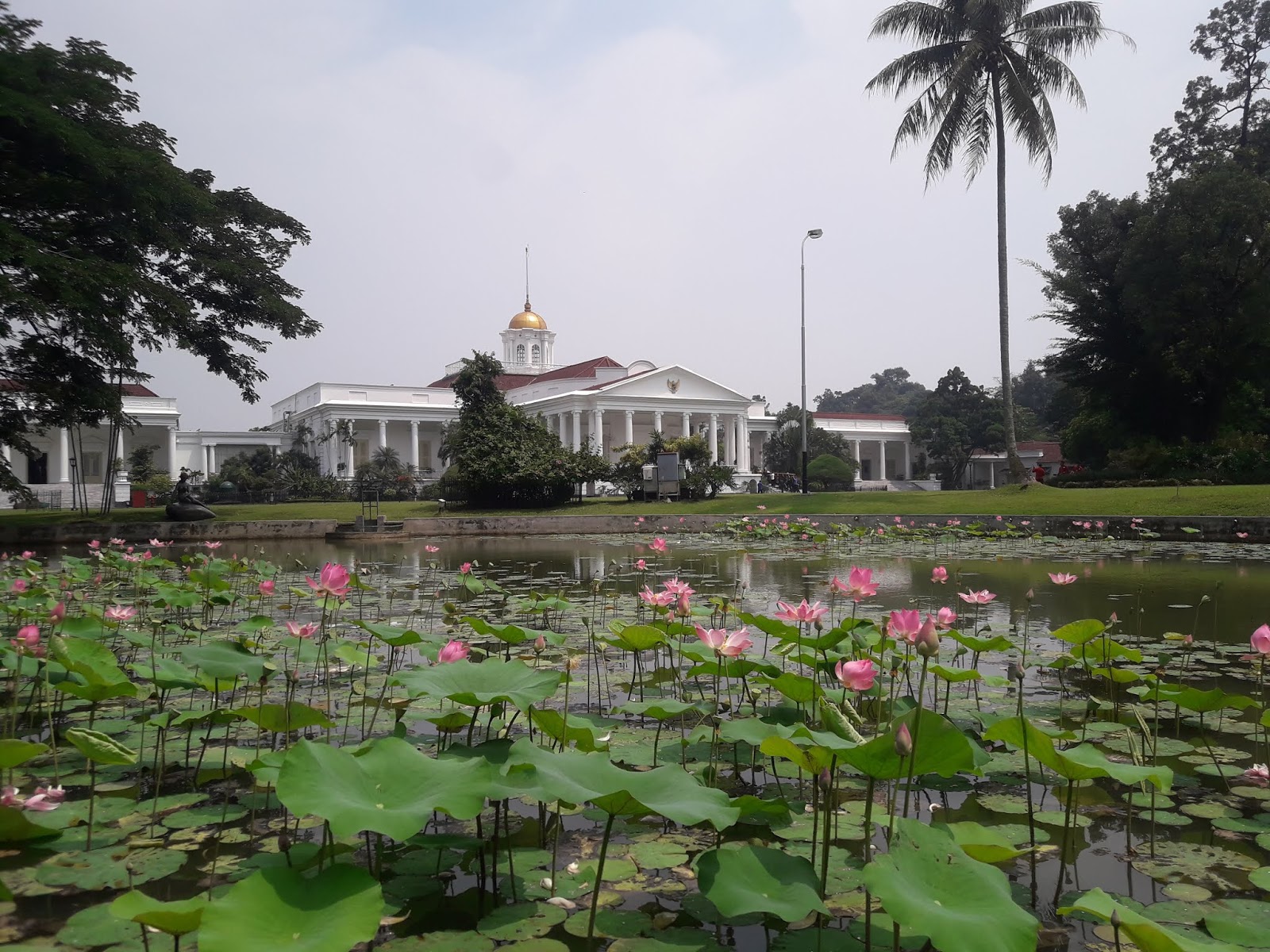 My Story.... My Heart.... My Life.... My Love.... My Dream....: KEBUN ...