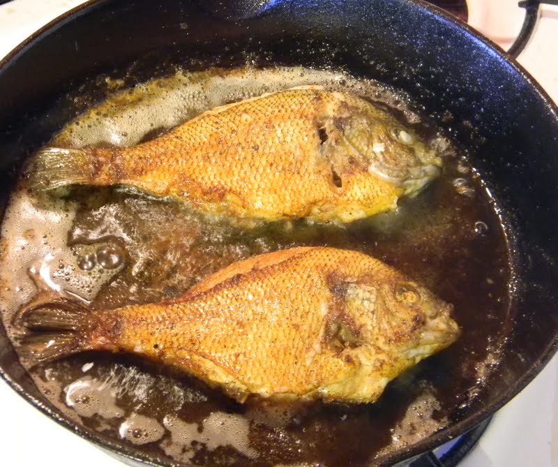fried crappie recipe