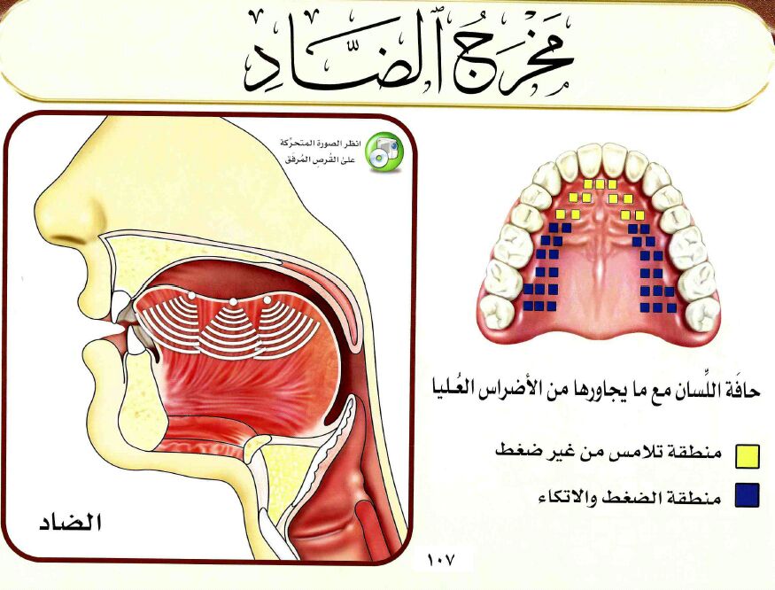 Sifat Huruf Dhad, Zha, Mim, Nun, Tanwin - Terjemah Kitab Kuning