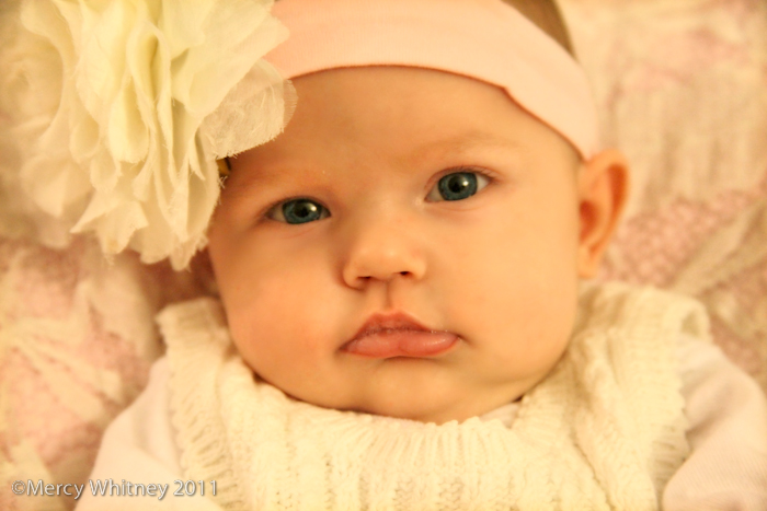 The Photographer's Journey... By Mercy Whitney Photography