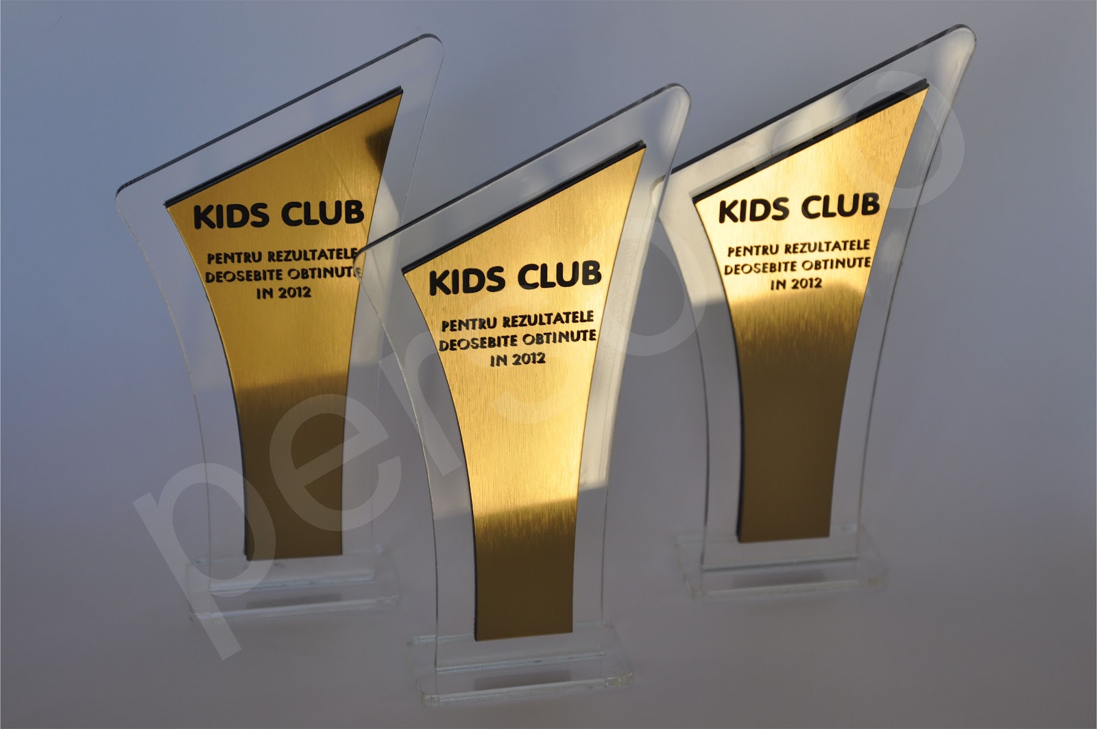 GRAVURA LASER: Trofee gravate