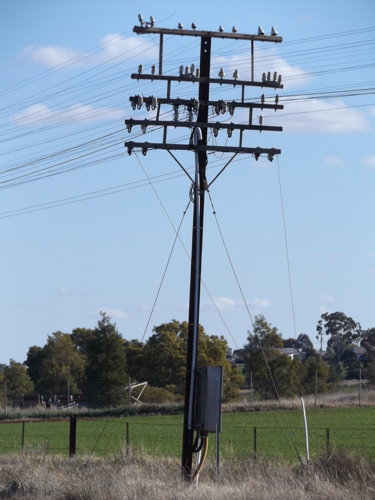 Building Wagga: Lineside Poles (2)