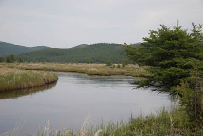 Flyfishing Russia: Feklistova Island (Shantar Archipelago, Sea of Okhotsk)
