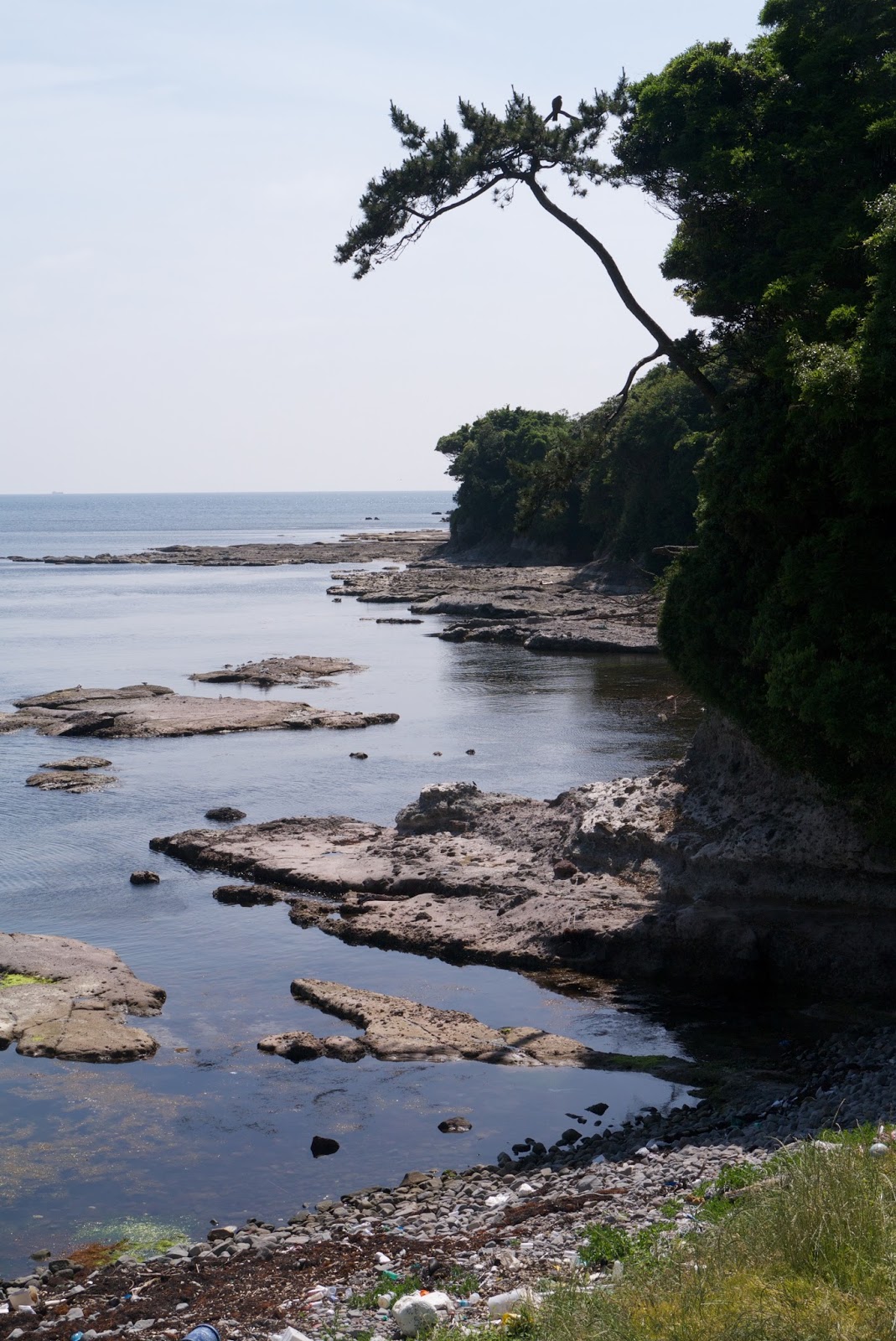 from Noto : Snapshot 13: Sea Rough, Sea Calm