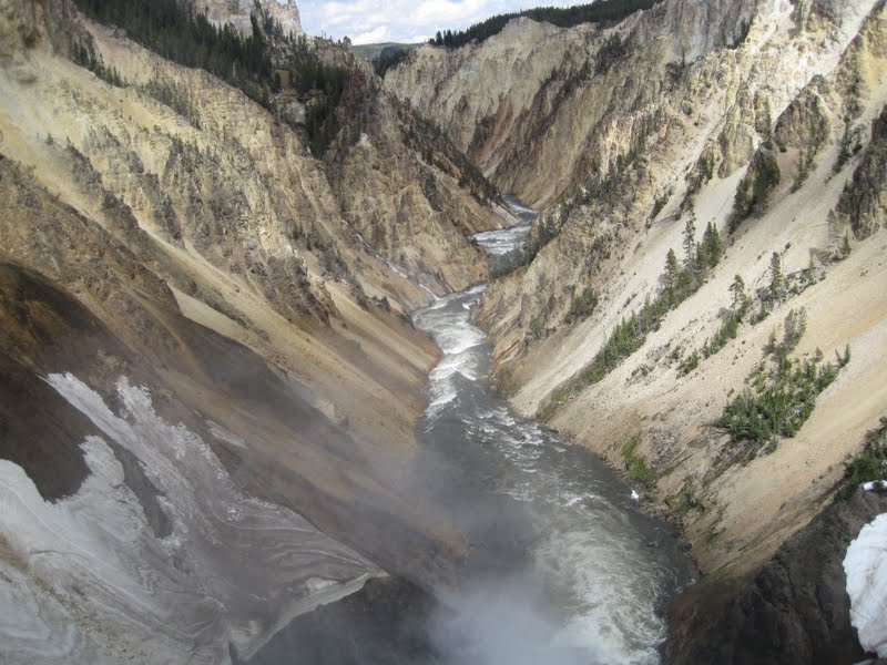 The Scallywagon: YOU SKIN GRIZ', PILGRIM? Yellowstone National Park