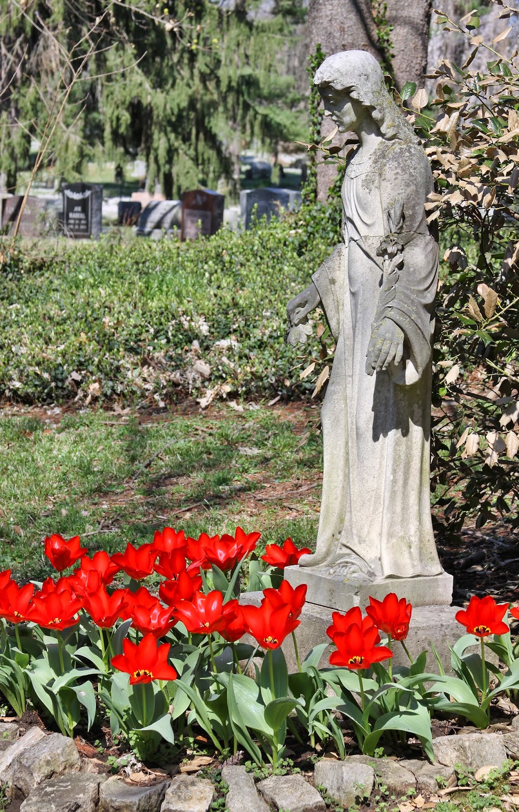 Blue-Eyed Kentucky: More Springtime in the Lexington Cemetery