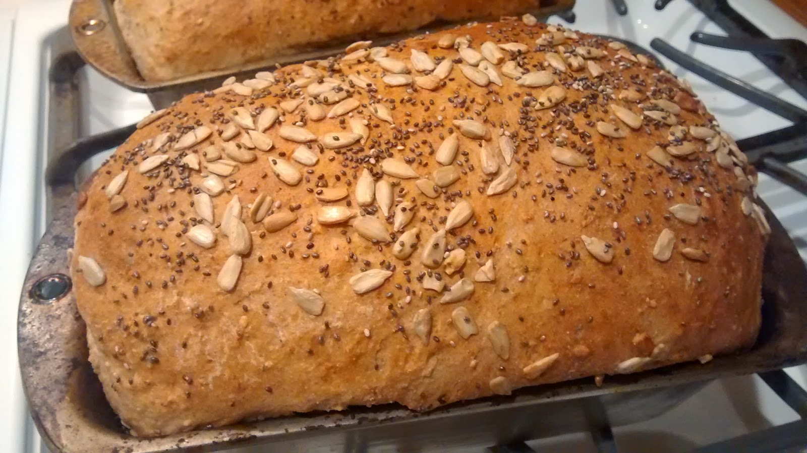 LewmanNation : Honey Whole Wheat Bread - Super Seed Bread