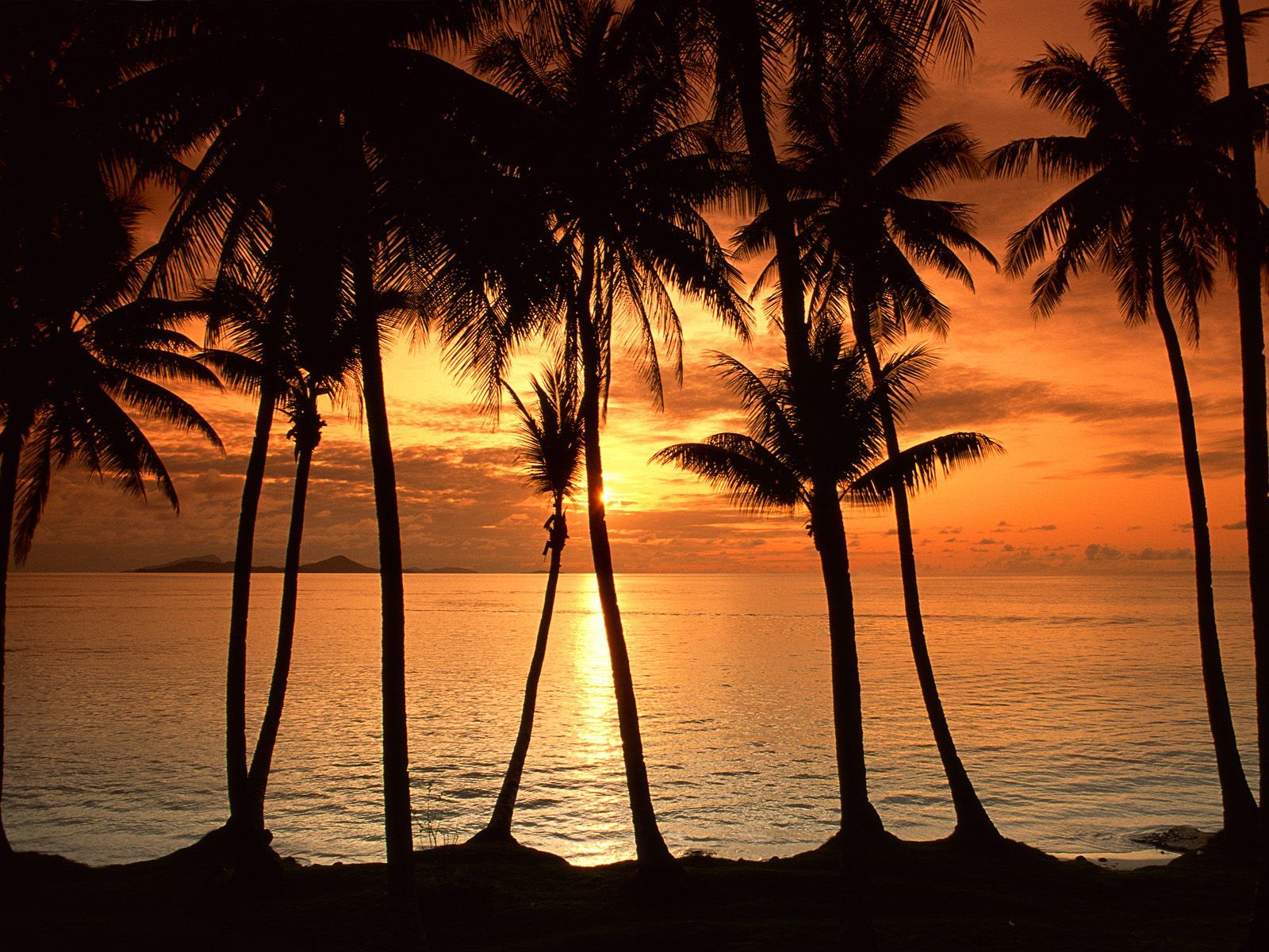 Nature's Best: Sunset Photography