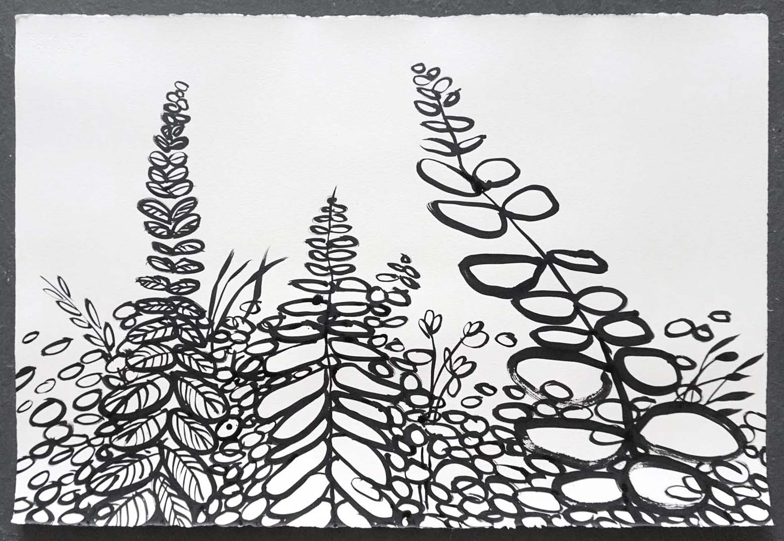 Las Manos: New Michael McGuire Foliage Drawings